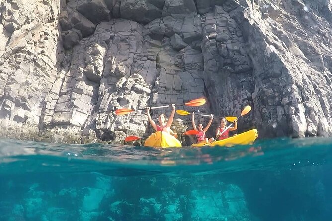 Kayak Safari with Dolphin and Turtle Watching in Guaza - Scenic Highlights Along the Coast