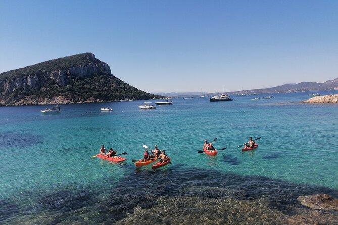 Kayak tour with aperitif and dolphins - The Sum Up: Who Will Love This Experience?