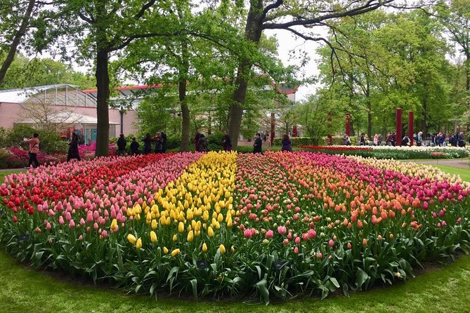 Keukenhof's Tulips and Windmills Small-Group Tour from Amsterdam - The Sum Up