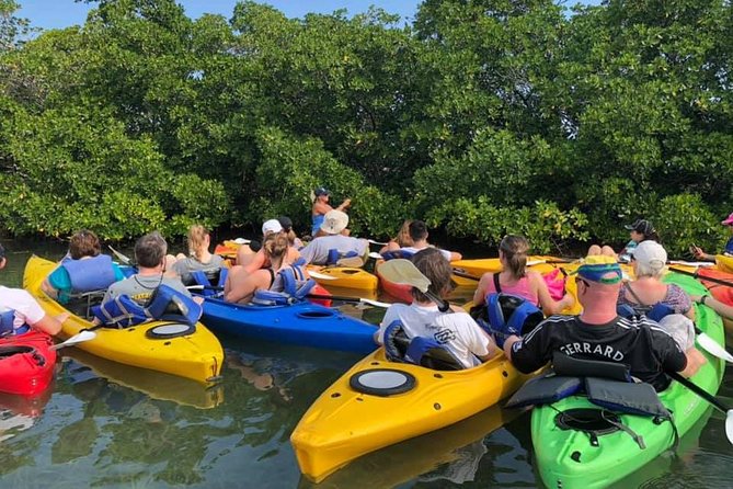 Key West Mangrove Kayak Eco Tour - The Perfect Fit for Your Trip