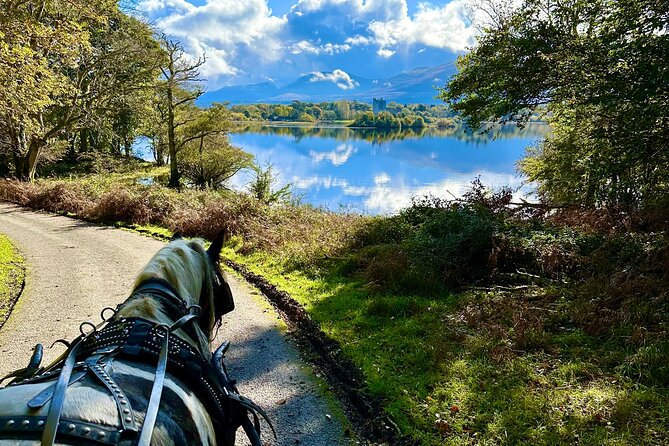 Killarney National Park Tour - Final Words