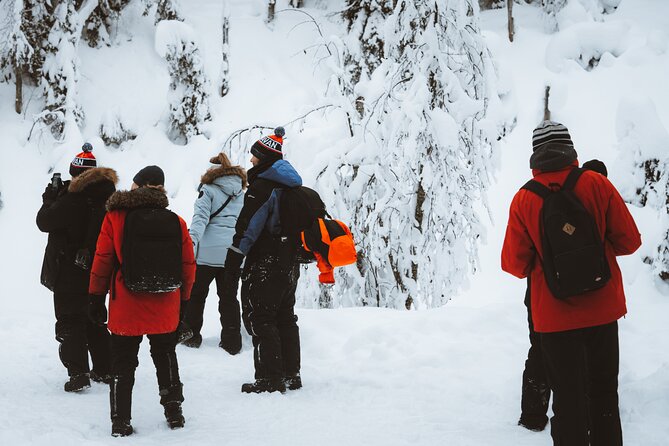 Korouoma Canyon Frozen Waterfalls - FAQ