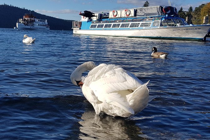 Lake District Adventure Sightseeing Day Trip from Liverpool - The Sum Up: Who Will Love This Tour?