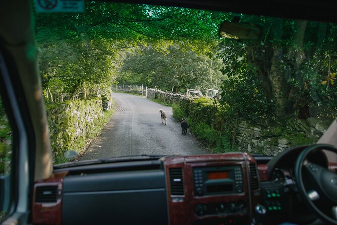 Lake District from Manchester Including Lake Cruise & Train Ride - Considerations and Practical Tips