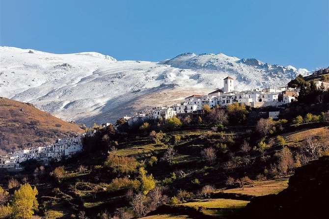 Las Alpujarras Full-Day Tour with Optional Lunch from Granada - Authenticity and Value