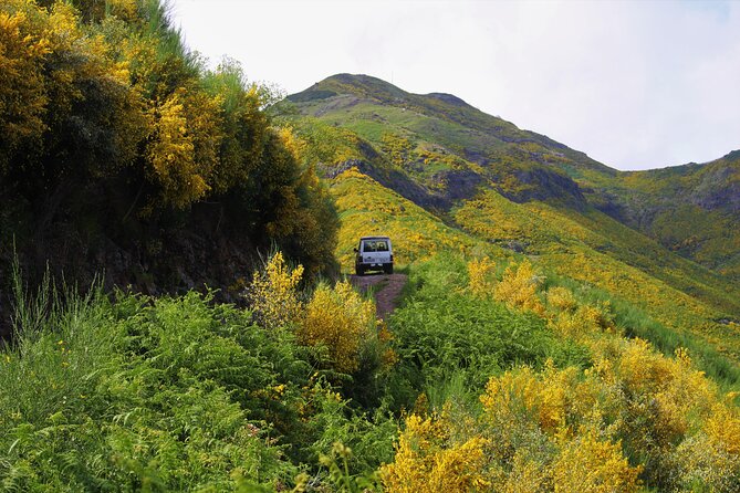 Let-Me-Surprise-You Private Full-Day Tour in All Terrain Vehicle - Duration and Timing