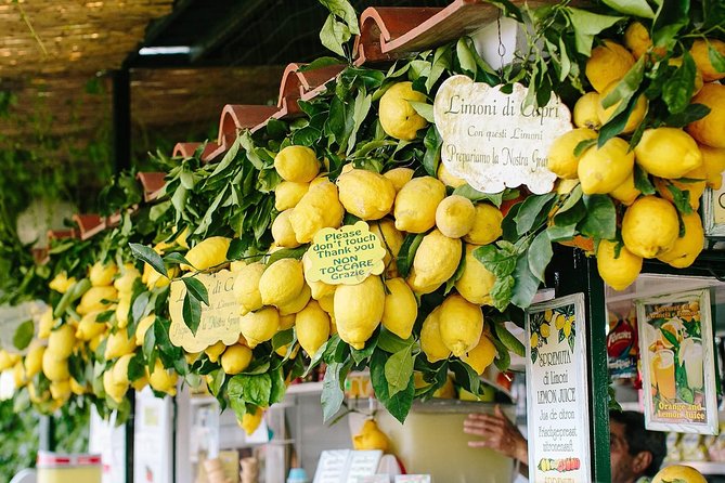 Li Galli Islands and Capri Small Group Boat Tour from Amalfi - Valuing the Experience