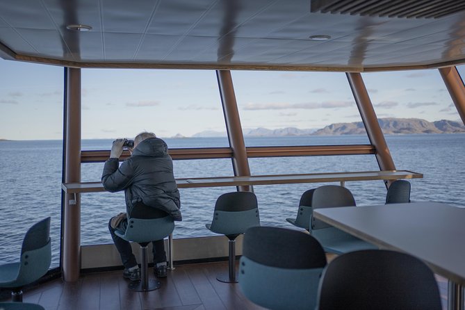 Lofoten Island: Silent Trollfjord Cruise from Svolvær - The Sum Up