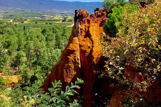 Luberon, Roussillon & Gordes Half-Day Tour from Avignon - The Final Highlight: Sénanque Abbey