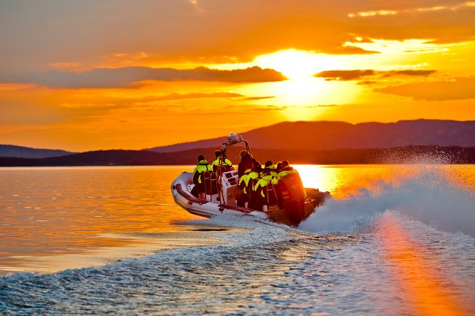 Lysefjord RIB Safari from Stavanger - The Sum Up: Who Should Consider This Tour?