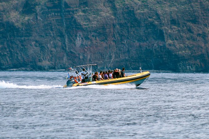 Madeira Dolphin & Whale Watching Tour - The Sum Up