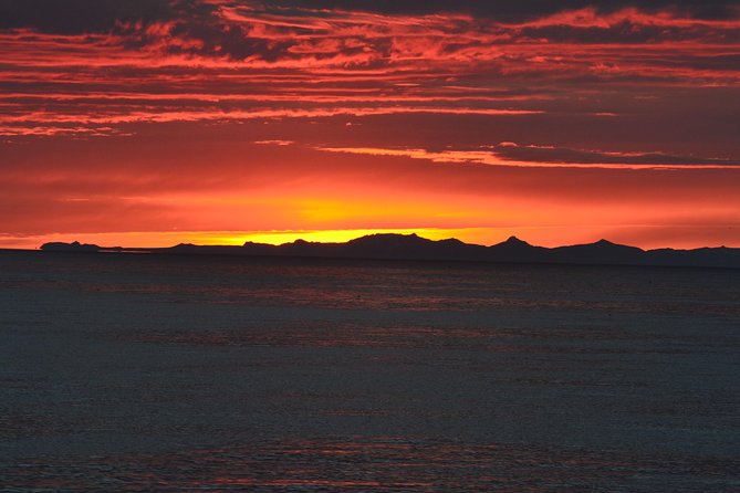 Magical Whales in the Midnight Sun | from Reykjavik - The Sum Up
