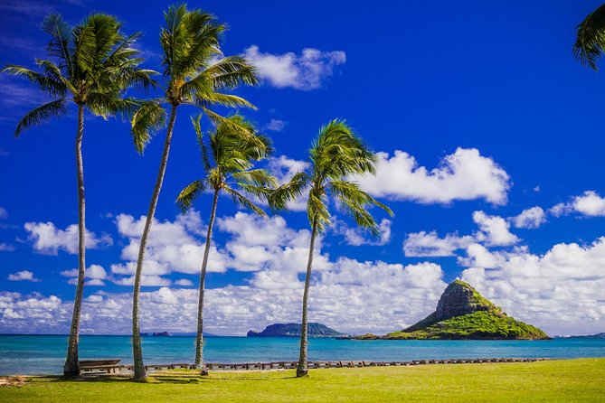 Majestic Circle Island Tour with Lunch - Final Thoughts: Who Will Enjoy This Tour?