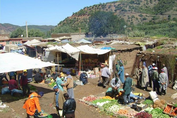Marrakech: Atlas Mountains, Berber Villages, Agafay & Camel Ride - Final Thoughts: Who Is This Tour For?