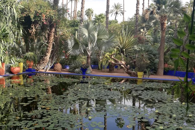 Marrakech: Private Guided Half-Day City Tour - Final Thoughts