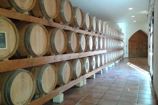 Morning Wine Tour to Chateauneuf du Pape from Avignon - The Sum Up
