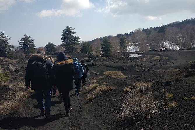 Mount Etna Half-Day Small Group Tour from Taormina - Who Should Skip or Consider Other Options?