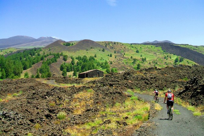 Mountain Biking Etna by MTB or E-Bike - Who Should Consider This Tour?
