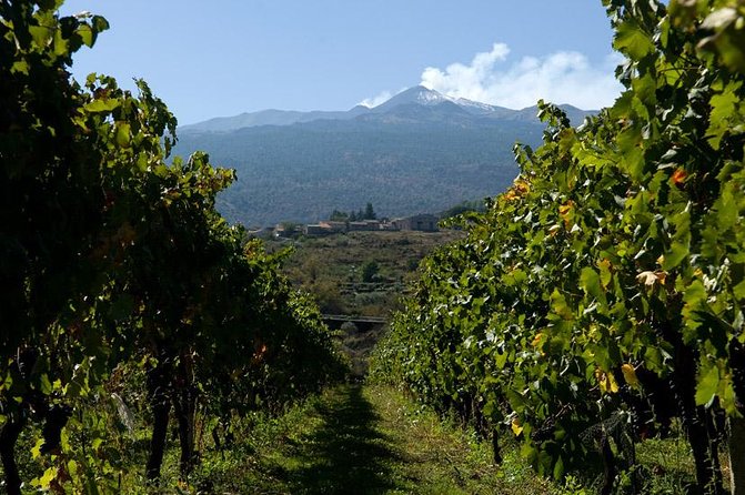 Mt Etna and Wine tasting tour from Catania - Making the Most of Your Day