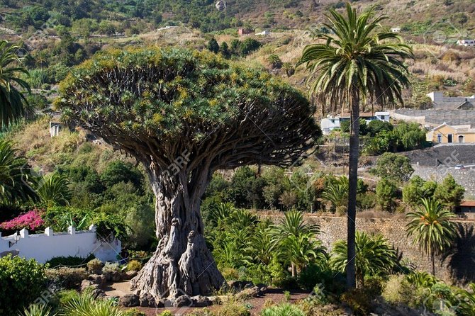 Mt. Teide and Masca Valley Tour in Tenerife - Final Thoughts