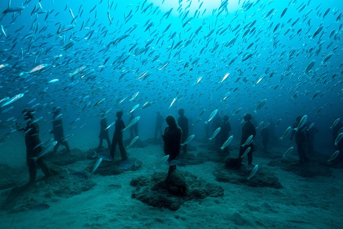 Museo Atlantico for certified divers - How the Experience Has Been Rated and Reviewed