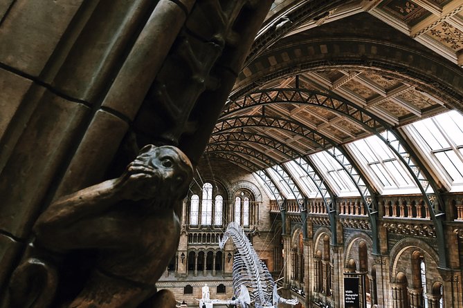 Natural History Museum London - Exclusive Guided Museum Tour - Overall Impressions and Final Thoughts