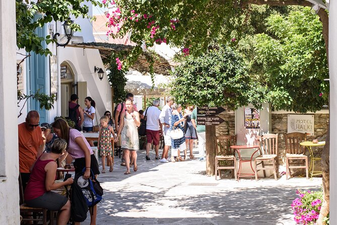Naxos Half Day History and Culture Guided Tour - Who Would Love This Tour?