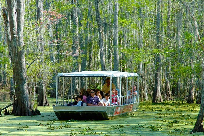 New Orleans Swamp and Bayou Boat Tour with Transportation - Why This Tour Represents Good Value