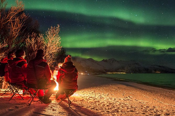 Northern Lights Tour from Tromsø - Value and Pricing Analysis