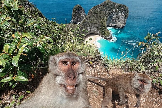 Nusa Penida day trip: boat, 4 snorkeling, Manta rays & Land tour - Why Travelers Love This Tour