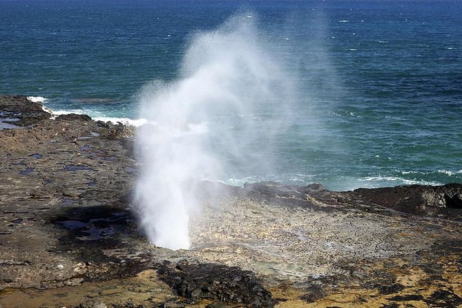 Oahu's Ultimate Tour: Dole, Turtle Snorkel, Pali Lookout & More - The Sum Up