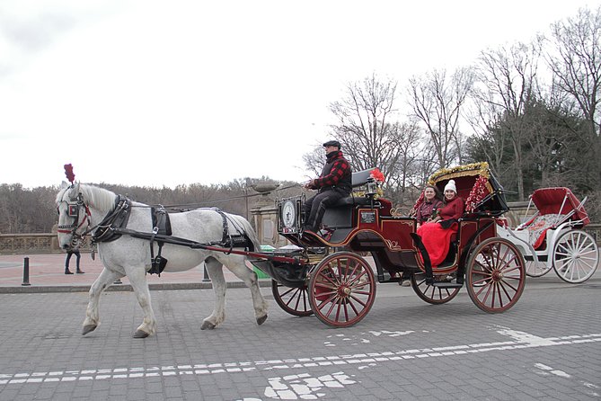 Official NYC Horse Carriage Rides in Central Park since 1979 - Authentic Experiences Highlighted in Reviews