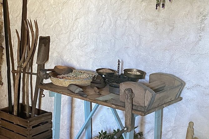 Olbia LONGEVITY TOUR in an ancient village: pasta class,wine,food - Authenticity and Personal Touches