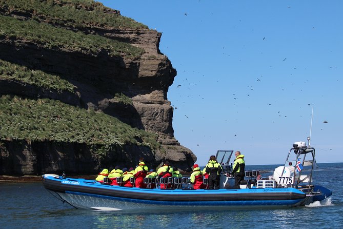Original Big Whale Safari & Puffins Speedboat Tour from Húsavík - Practical Tips for Participants