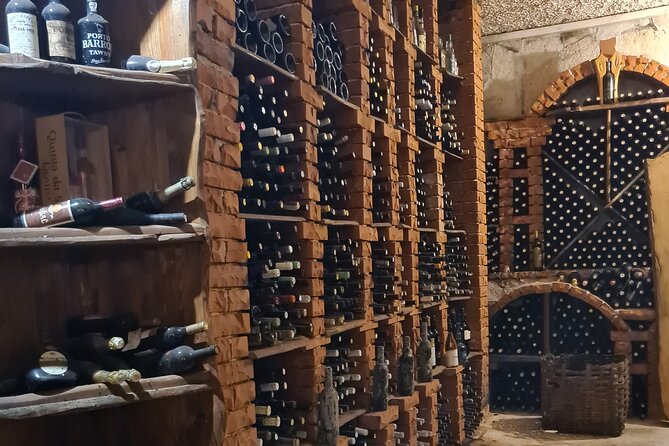 Oysters & Wine Tour From Dubrovnik (Small Group) - Who Will Love This Tour?