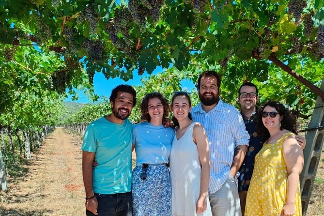 Pagus Wine Tours® - A taste of Amarone - Half day wine tour - The Bottom Line: Is It Worth It?