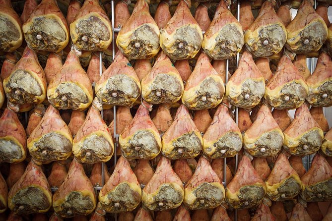 Parma Food Valley Gourmet Private Tour Easy - Final Thoughts: Who Will Enjoy This Tour?