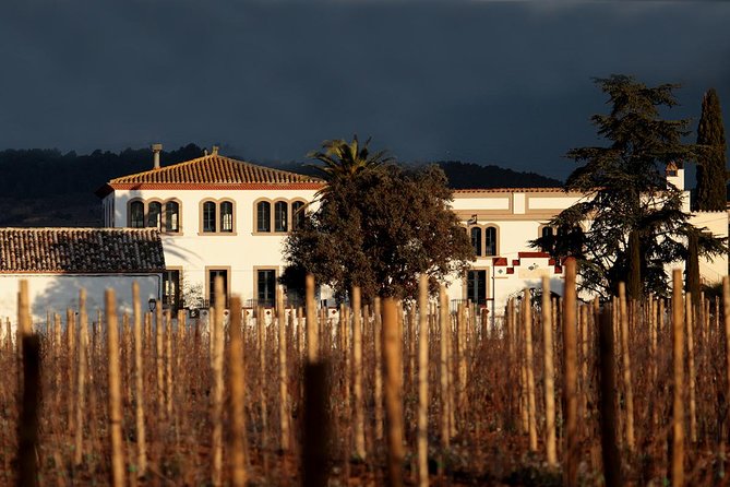 Penedes Wine & Cava Tasting & 4WD Vineyards Tour from Barcelona - FAQ