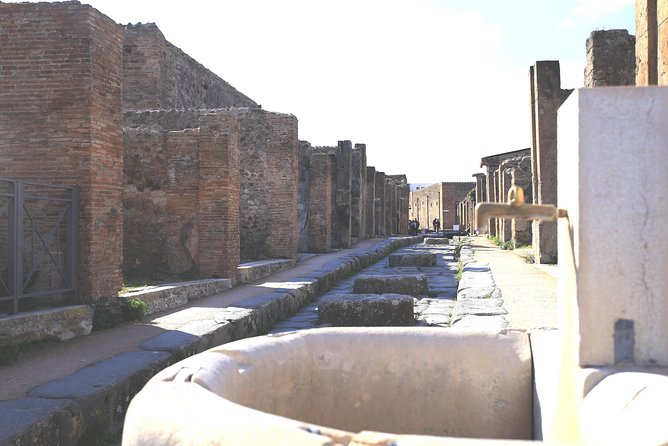 Pompeii and Herculaneum Private Tour with Native Guide and Skip the Line Tickets - FAQ