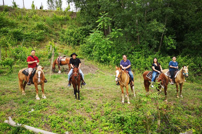 Pompeii Guided Tour & Horse Riding on Vesuvius with Lunch - What Recent Travelers Say
