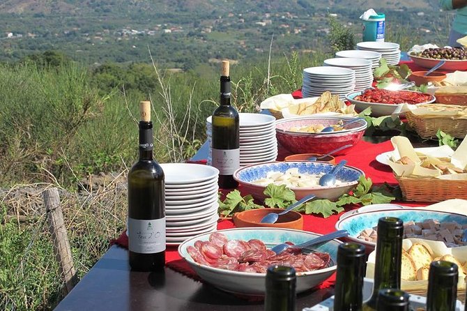 Private 6-Hour Tour of Three Etna Wineries with food&wine tasting - The Bottom Line