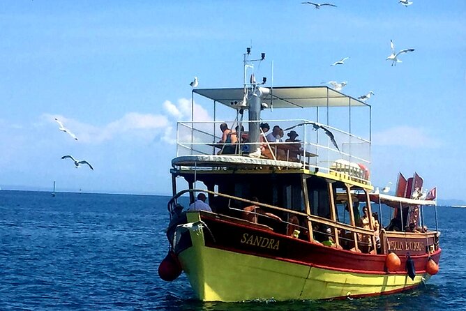 Private Boat Trip with Sandra Boat Medulin, Kamenjak, Ceja - Final Thoughts — Who is This Tour Best For?
