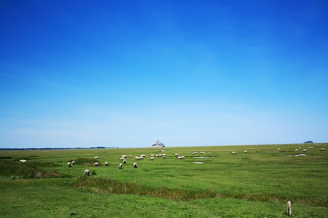 Private Day Tour of Mont Saint-Michel from Bayeux - FAQ