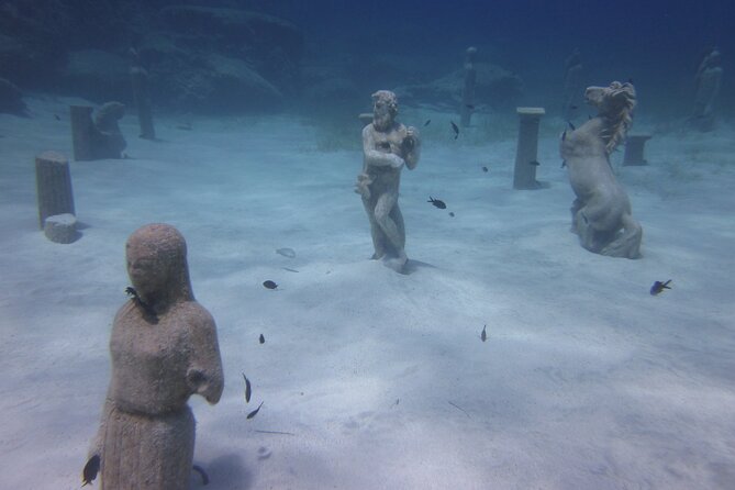Private Discovery Dive + Photos & Videos - What You’ll Receive