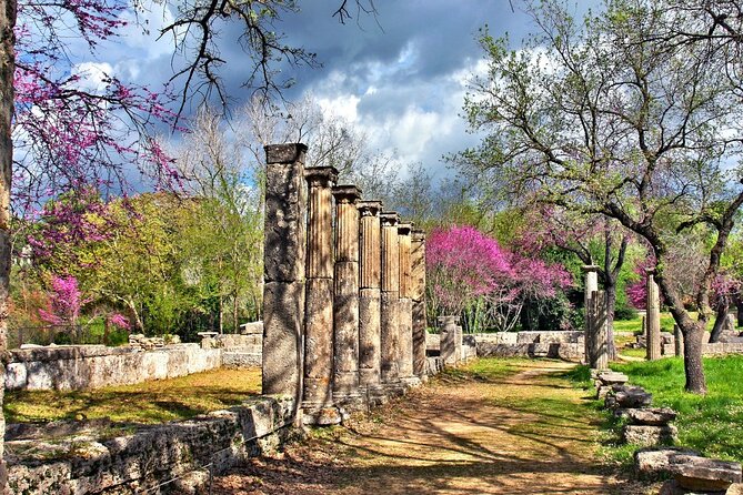 Private Excursion to Ancient Olympia - bee farm & winery - Honey Farm: Sweet Traditions and Honest Hospitality