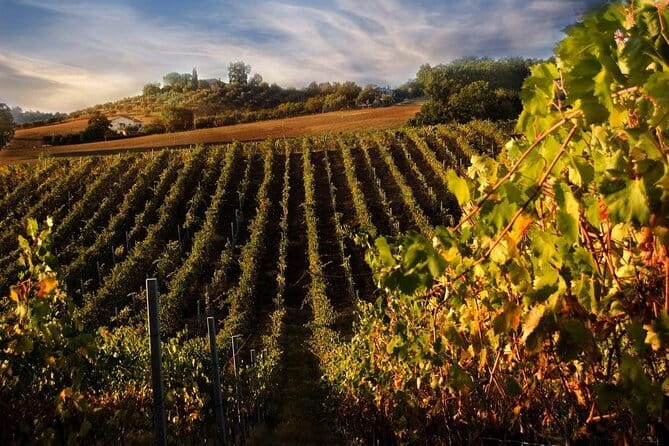 Private Flavors of Florence Walking Tour (Food and Wine Included) - Who Is This Tour Best For?