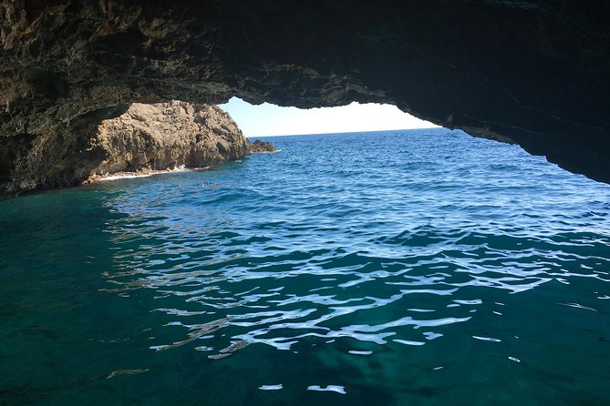 Private Kotor Bay Speed Boat Tour and Blue Cave Adventure - FAQ
