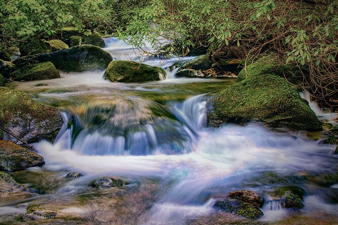 Private Luxury Ring of Kerry & Kerry Cliffs Tour from Killarney - Who Should Consider This Tour?