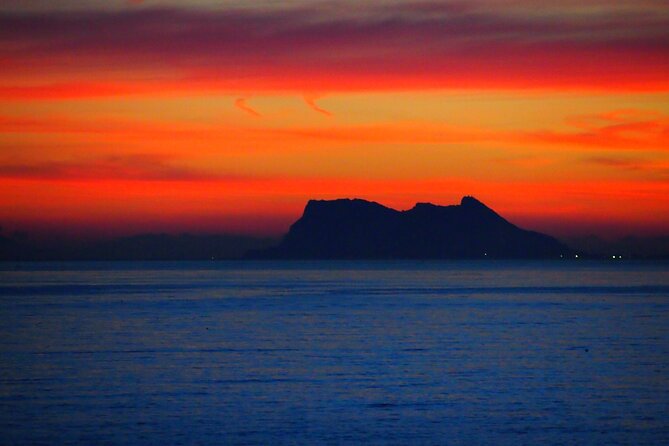 Private Sailing - dolphin Experience from Estepona - drink & food - The Reviews: What Others Say