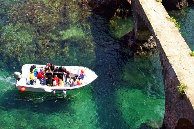 Private Tour: Berlenga Grande Island Day Trip from Lisbon - The Sum Up: Who’s This Tour Best For?